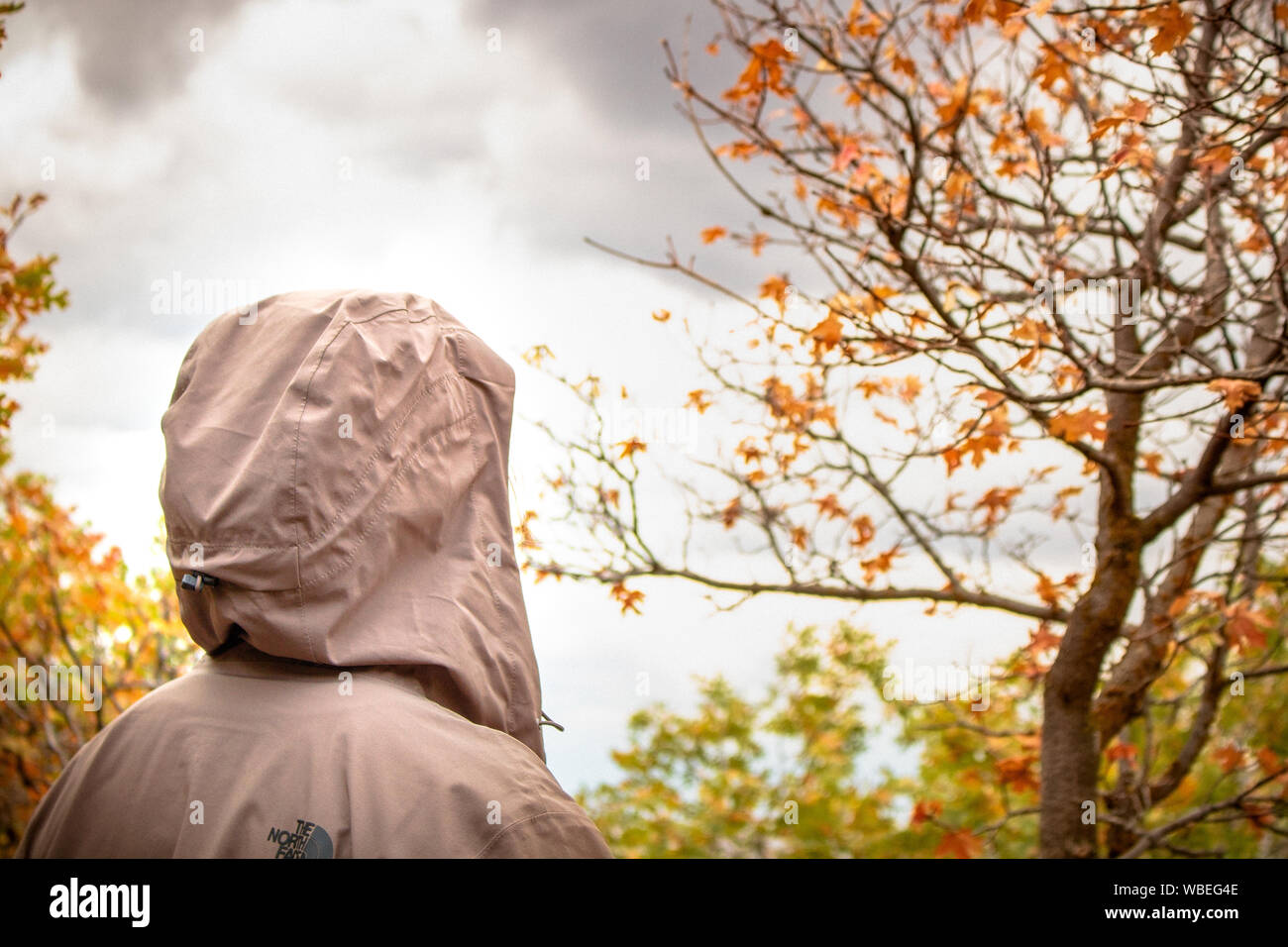 Introspective hike in the fall Stock Photo - Alamy