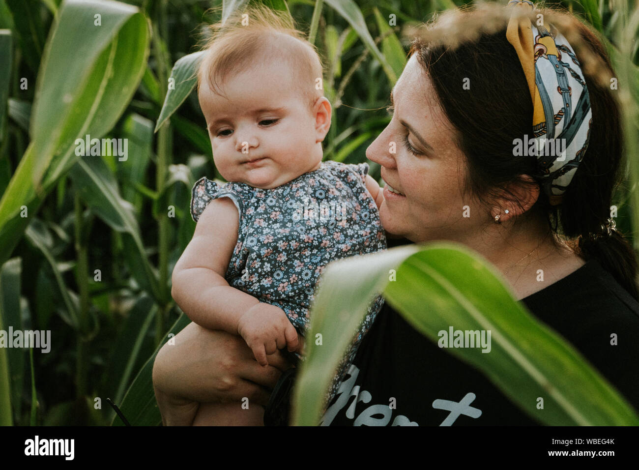 Mother in her thirties with daughter poses in corn field. Warm summer ...