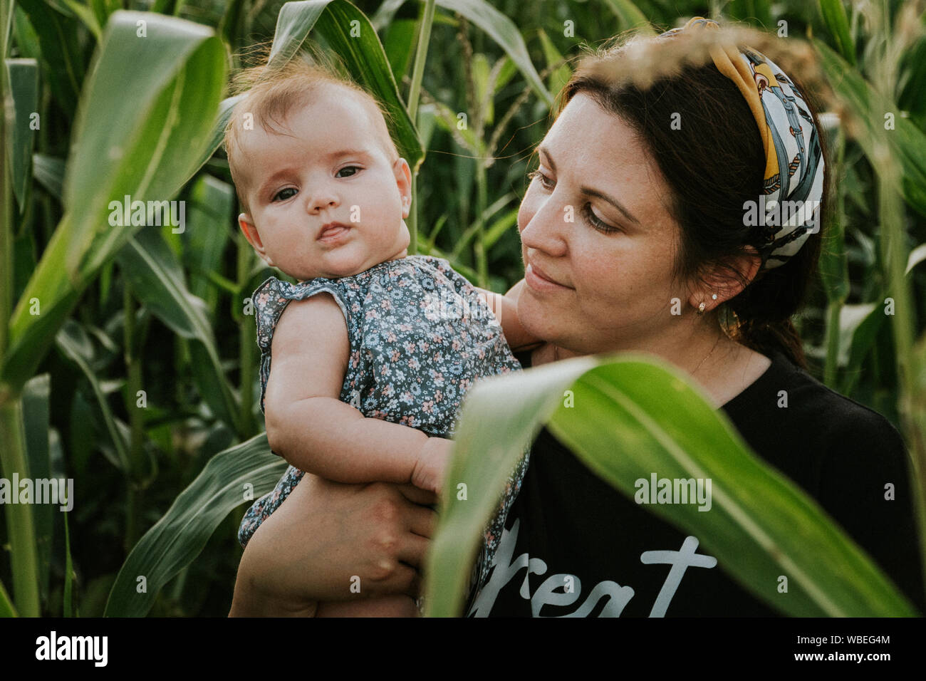 Mother in her thirties with daughter poses in corn field. Warm summer ...
