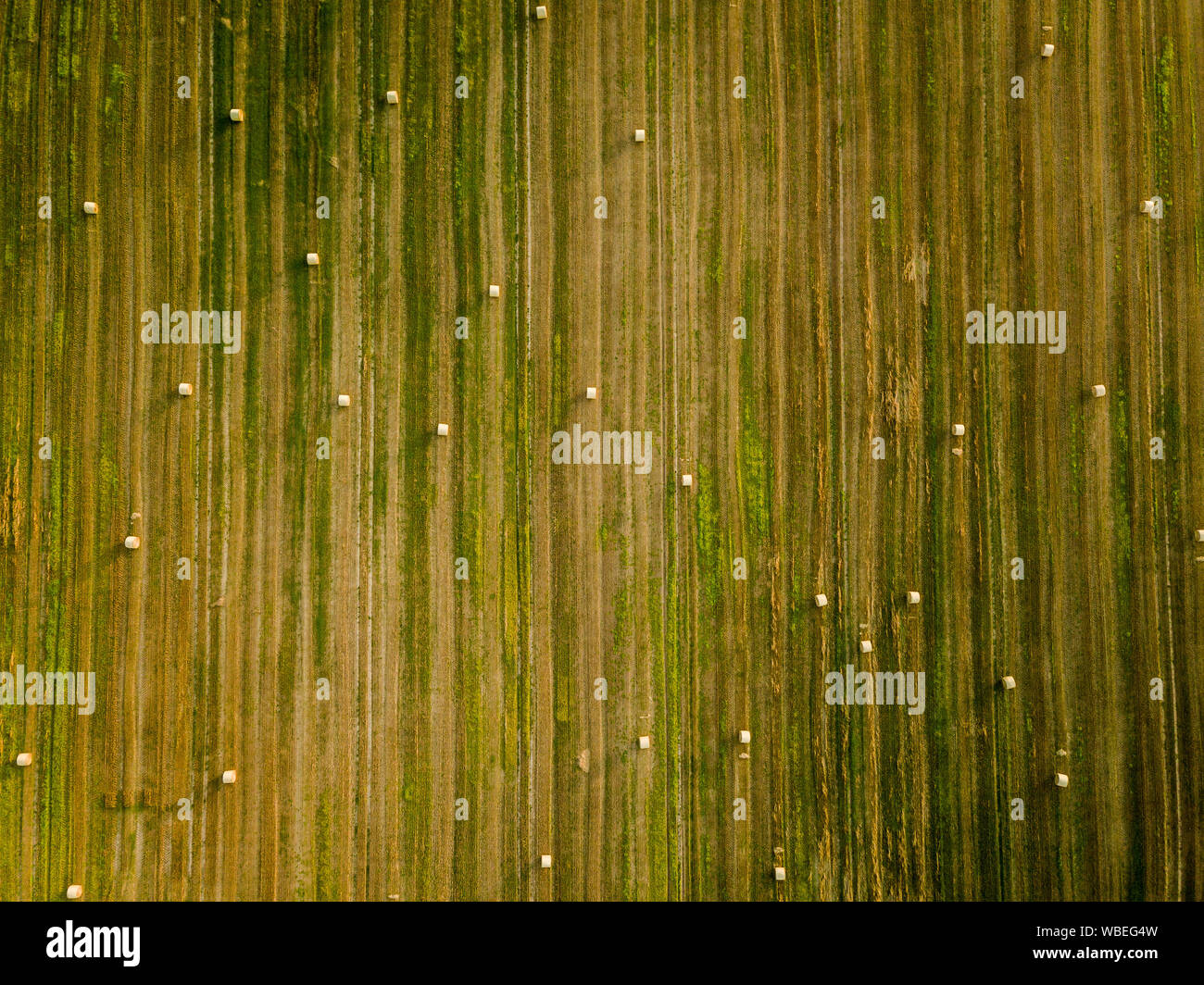 Agricultural field full of hay rolls during warm summer sunset. Aerial ...