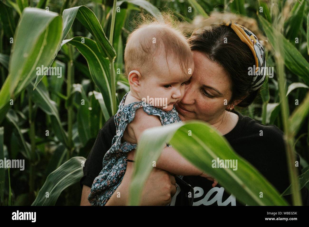 Mother in her thirties with daughter poses in corn field. Warm summer ...