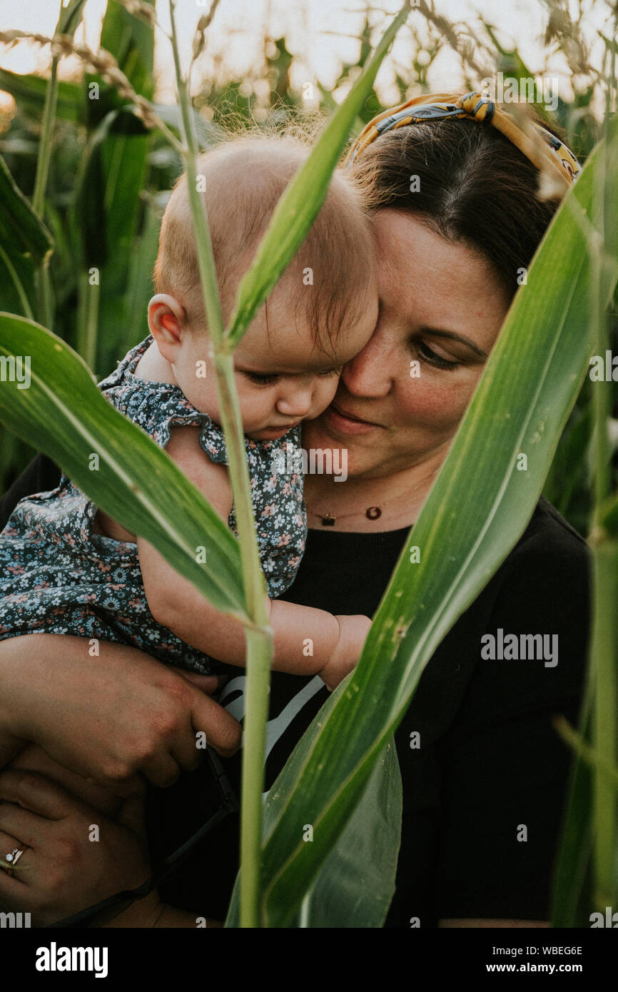 Mother in her thirties with daughter poses in corn field. Warm summer ...