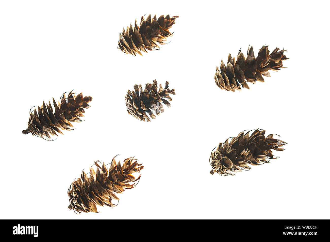 Decoration made cones on Cut Out Stock Images & Pictures - Alamy