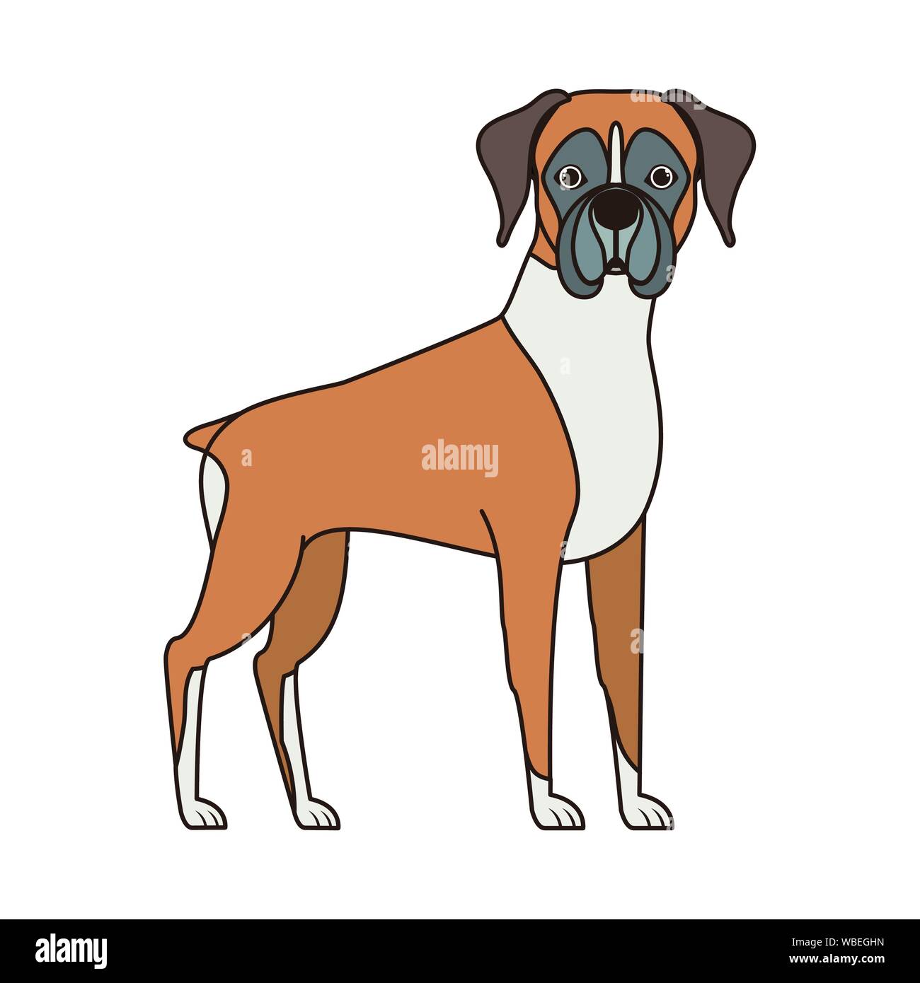 Cute female boxer dog Stock Vector Images - Alamy