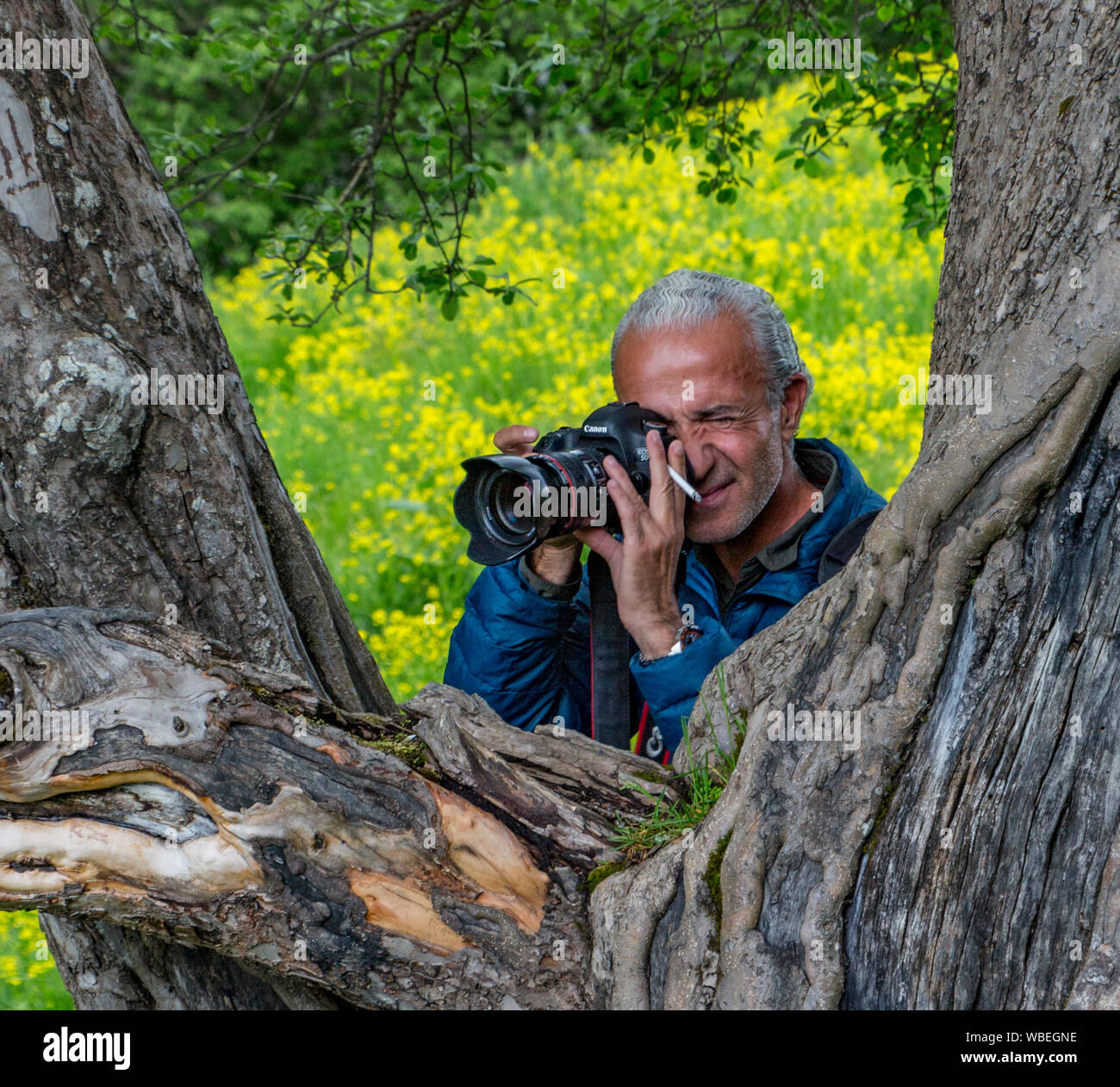 Crook of a tree hi-res stock photography and images - Alamy
