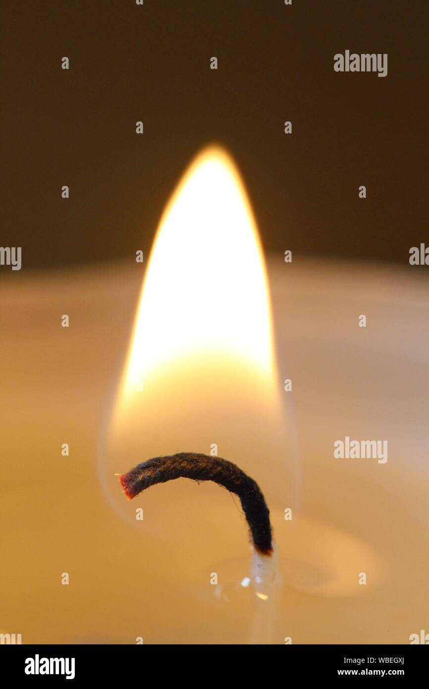 Wachs hi-res stock photography and images - Alamy