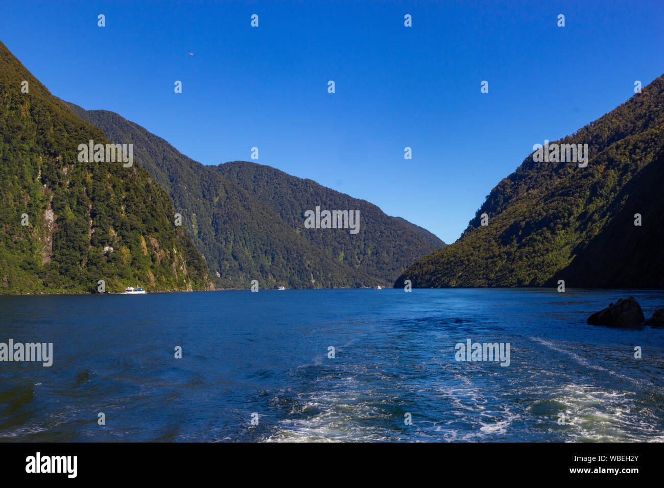 view of famous Mildford Sound, fjord in New Zealand Stock Photo - Alamy