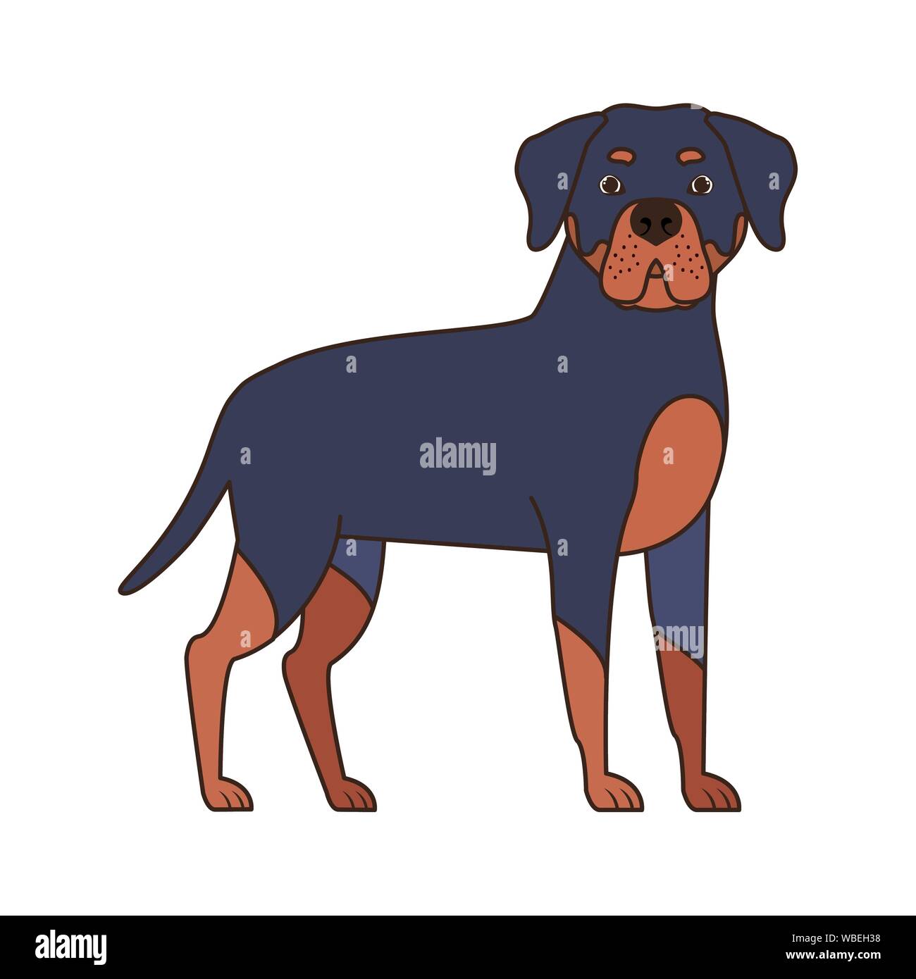 cute rottweiler dog on white background Stock Vector Image & Art - Alamy