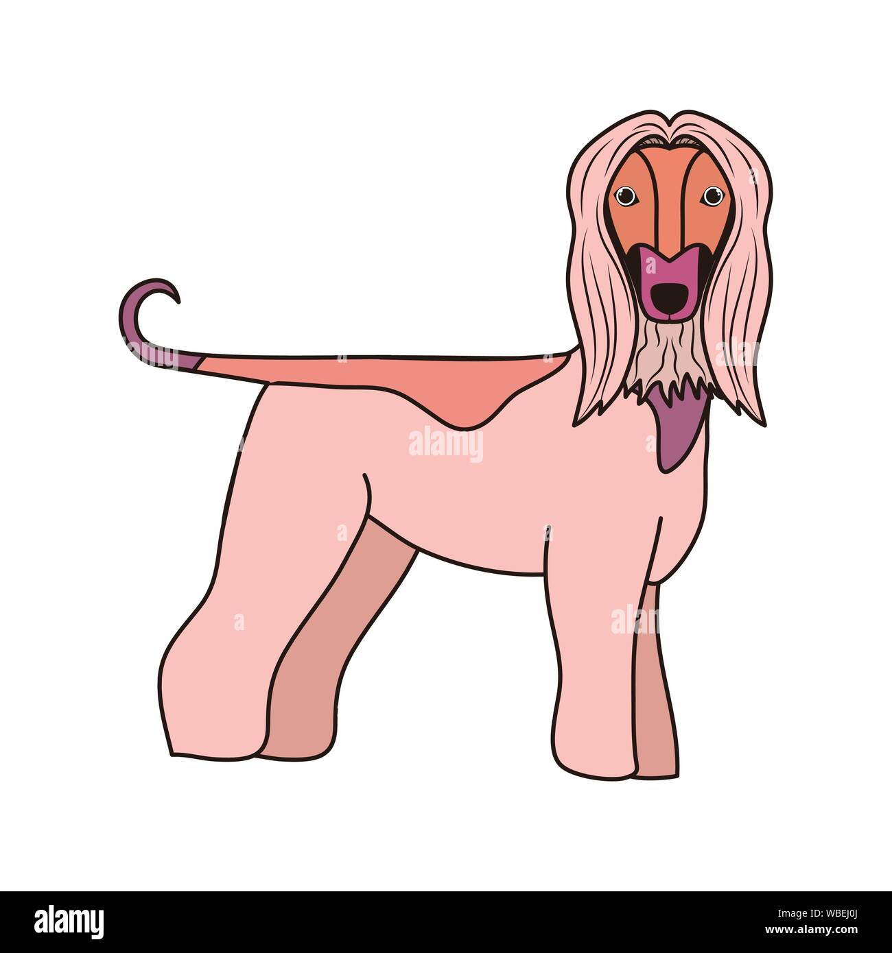 cute galgo afgano dog on white background Stock Vector Image & Art - Alamy