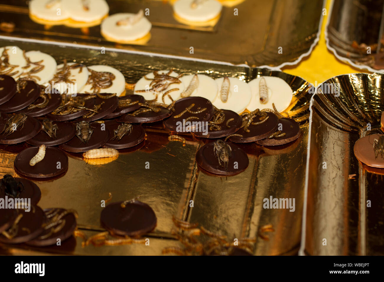 People eating insects hi-res stock photography and images - Alamy