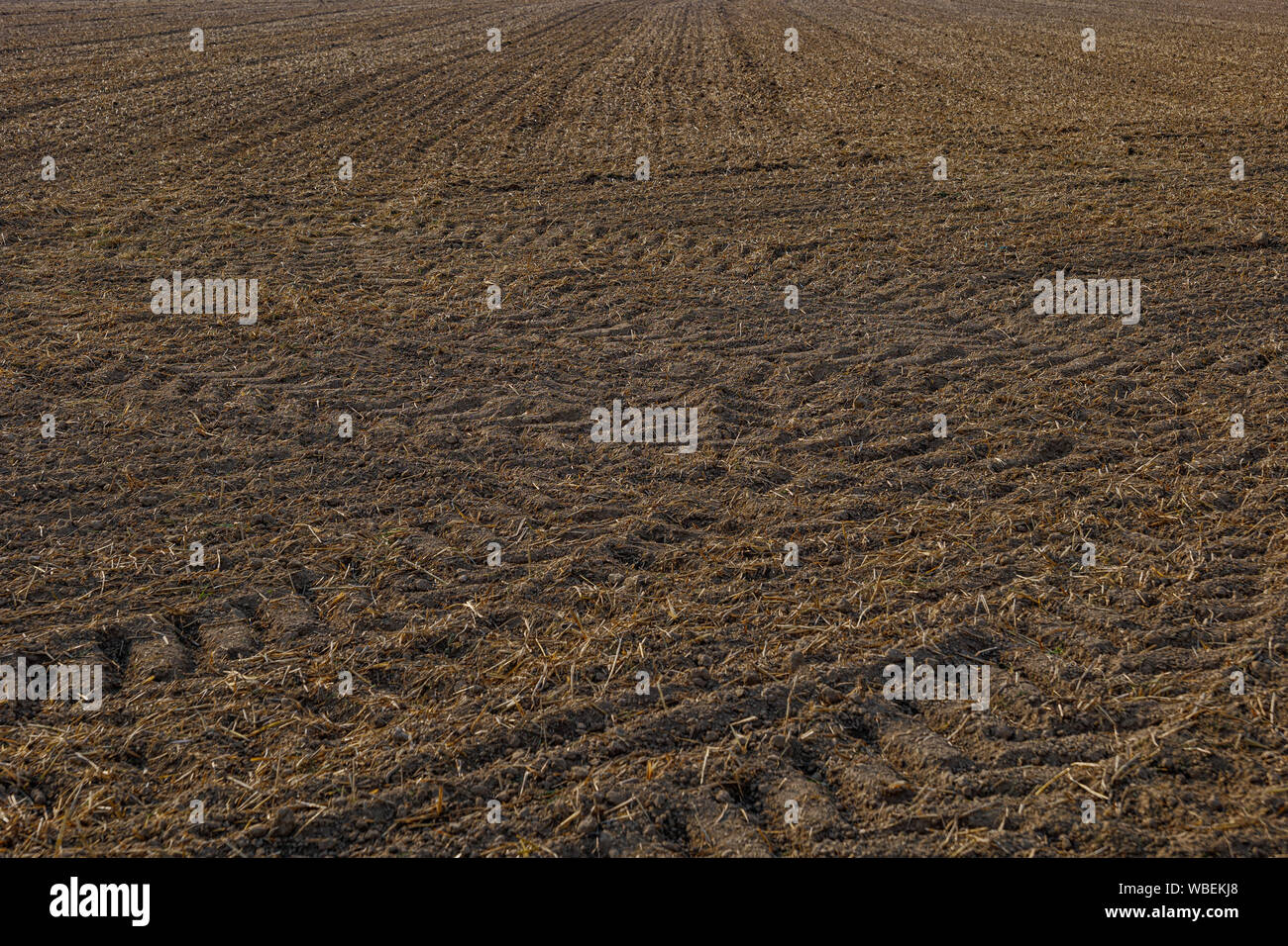 Close up top view of tire pattern from heavy tractor wheel mark trail ...