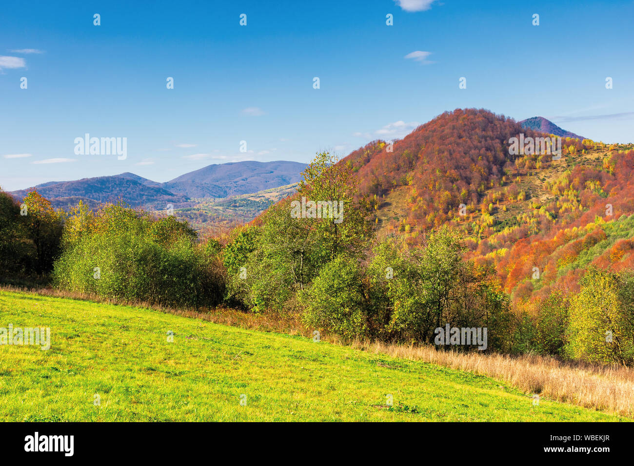 beautiful countryside in fall colors. green grass and trees on the hill ...
