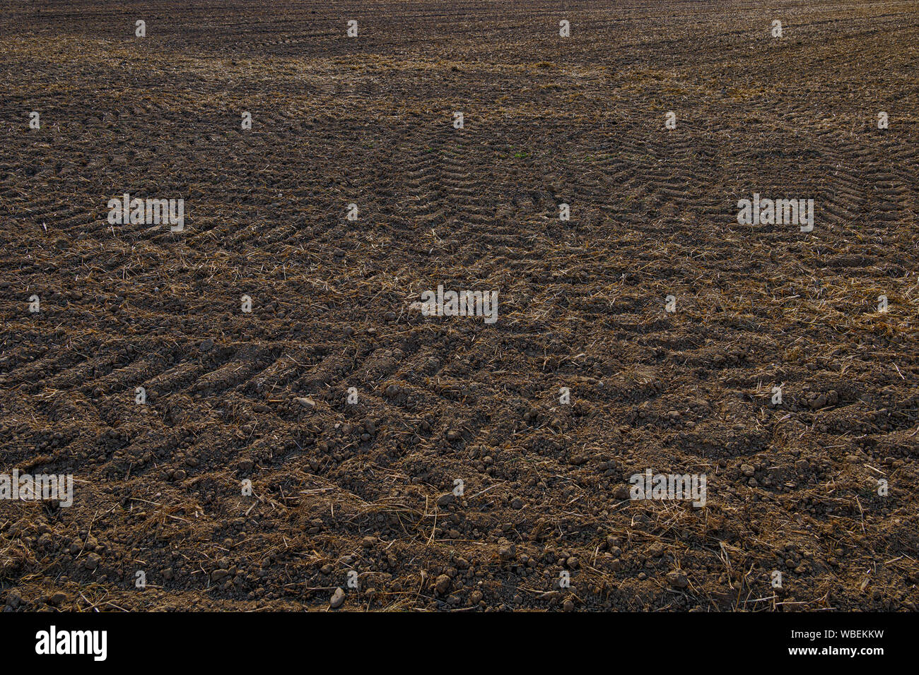 Close up top view of tire pattern from heavy tractor wheel mark trail ...