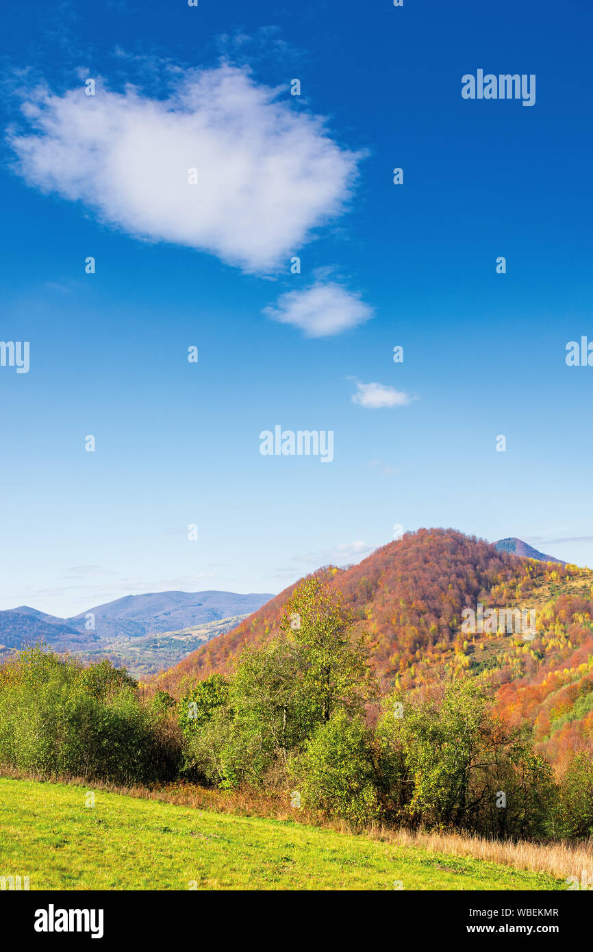 beautiful countryside in fall colors. green grass and trees on the hill ...