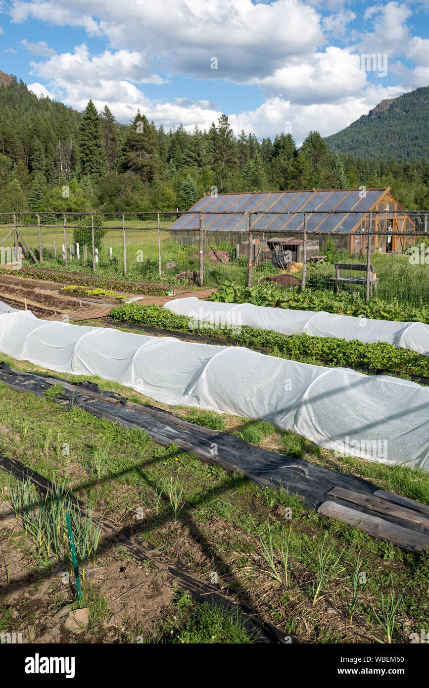 Garden at the Minam River Lodge in Oregon's Wallowa Mountains Stock ...