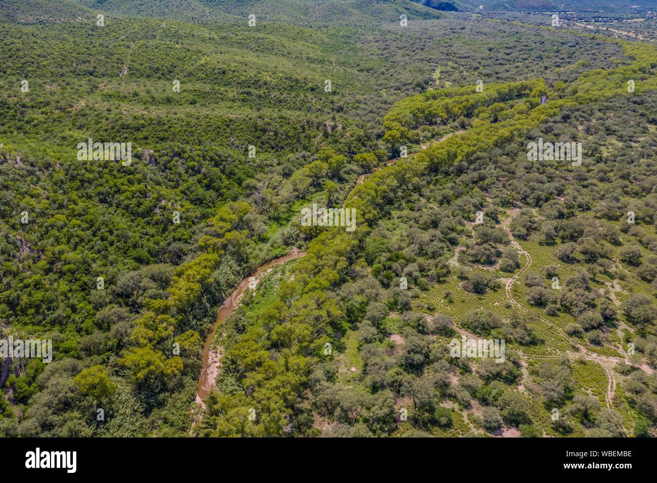 Ecosistema de matorral hi-res stock photography and images - Alamy