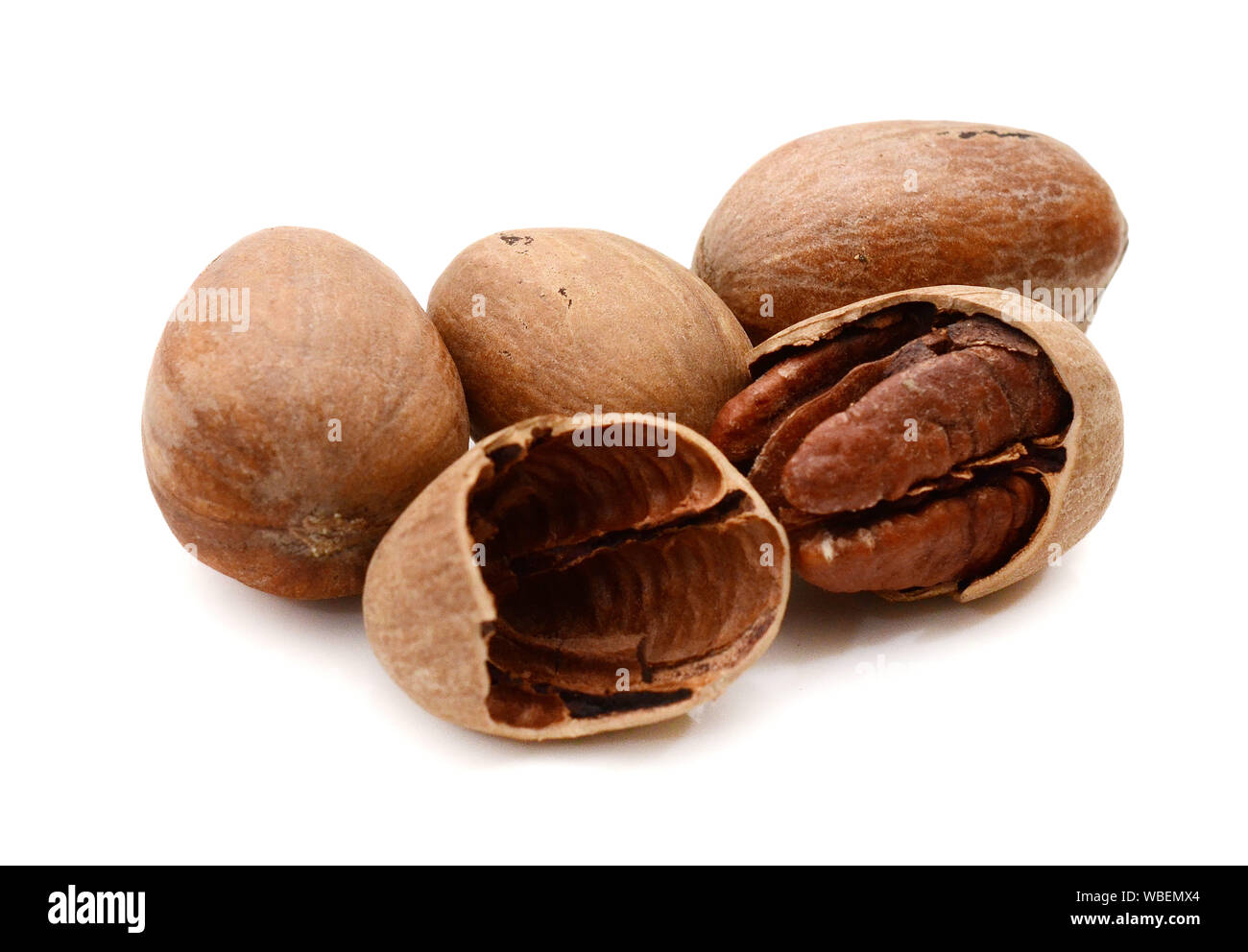 Pecan nut shell open hi-res stock photography and images - Alamy