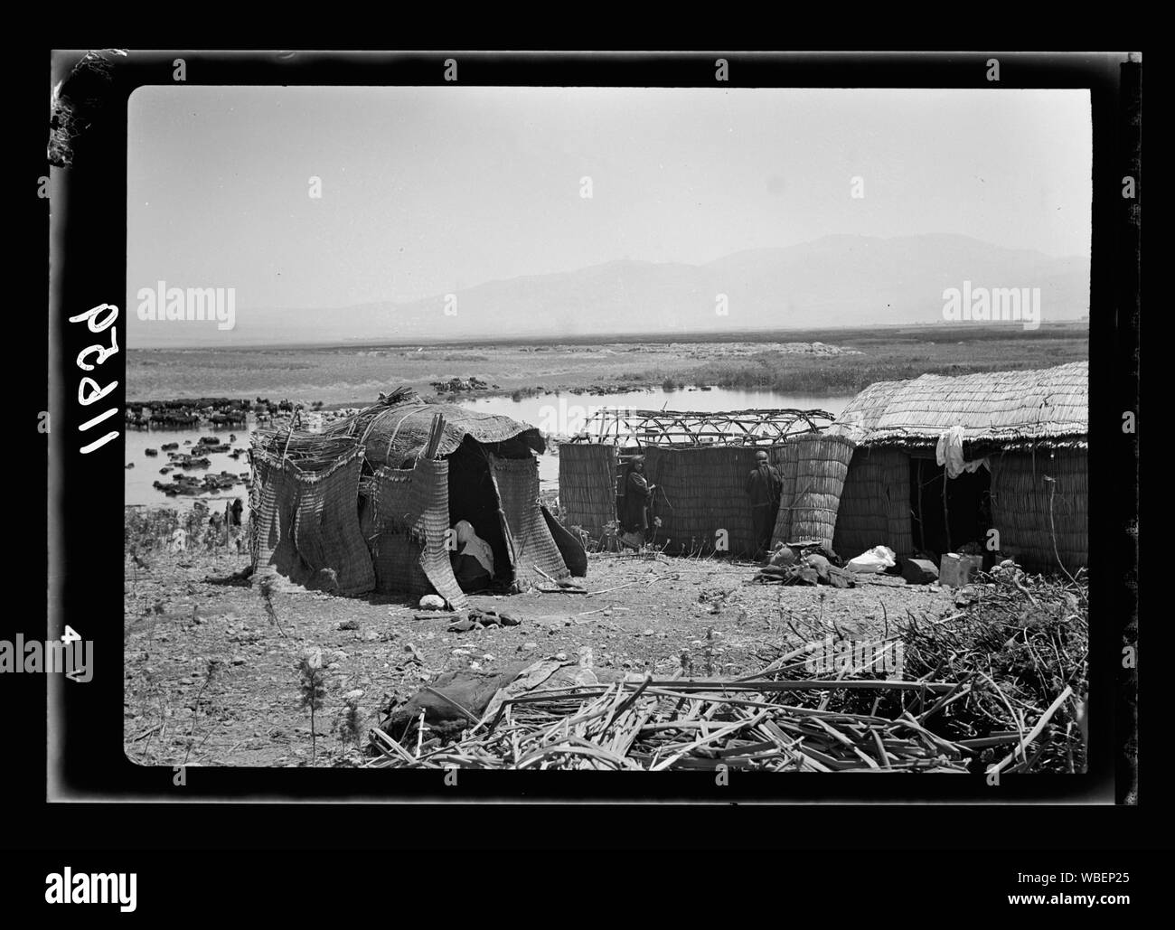 Galilee trip. Huleh District (Lake Merom). Straw huts made of mats at ...