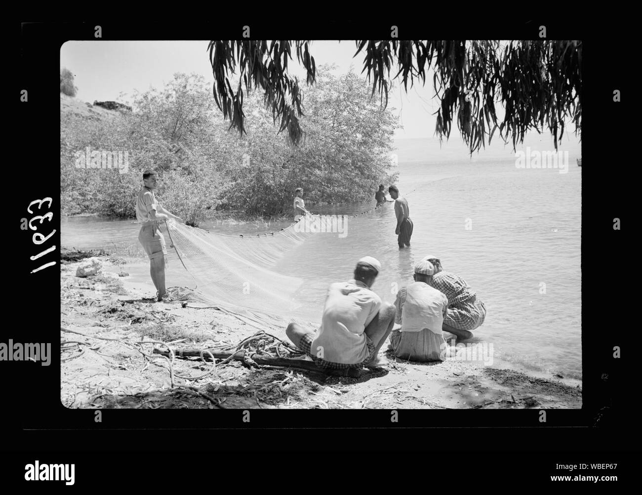 Galilee trip. Tiberias fisheries (Arab). Drawing in the drag net and ...