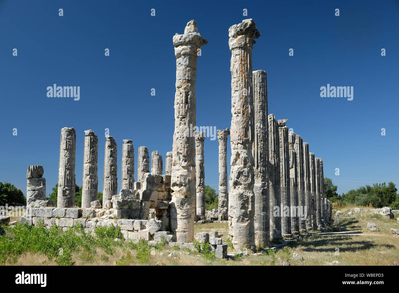 Isauria hi-res stock photography and images - Alamy