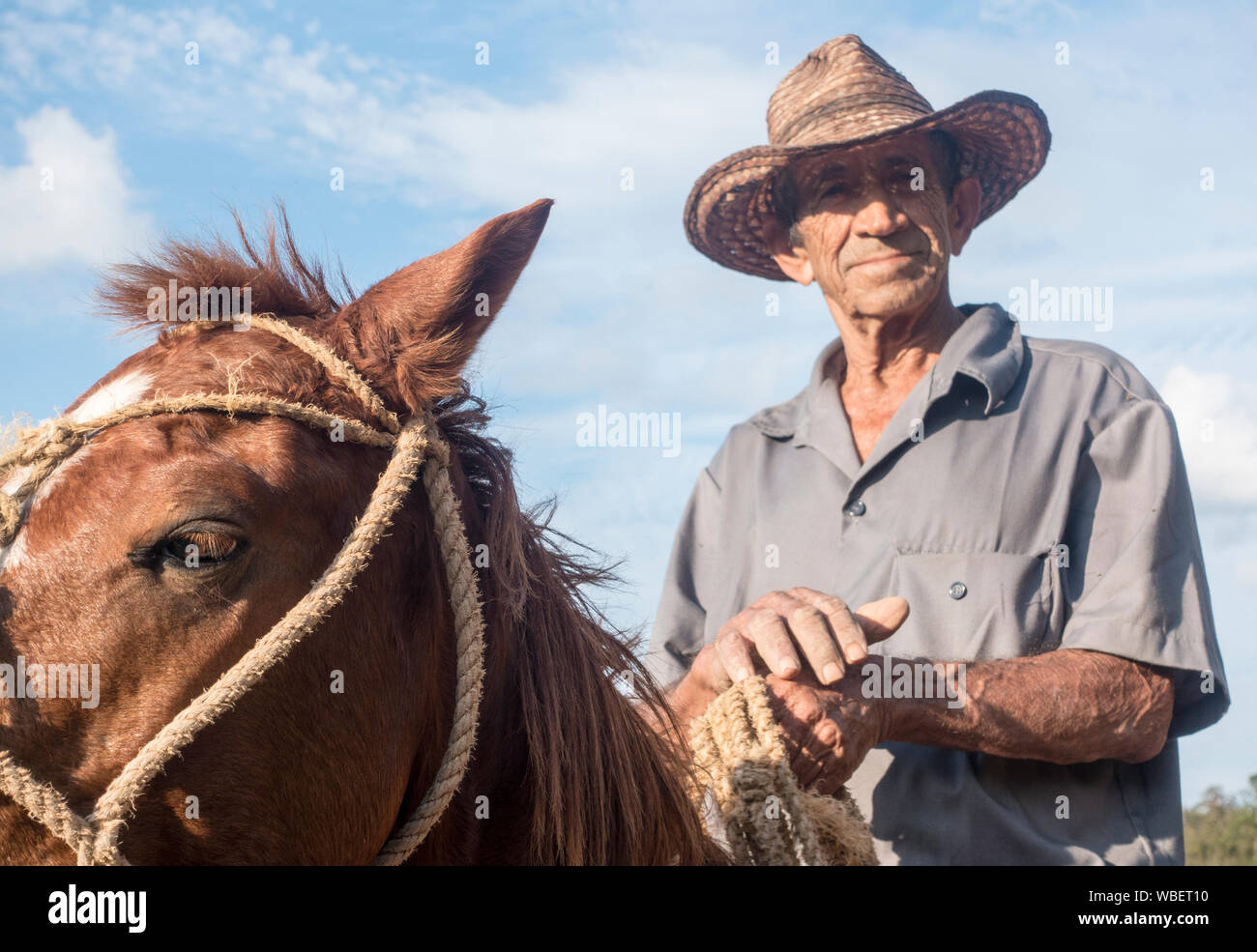 vinalis, Cuba Nov 23, 2017 - Cuban cowboy on horseback with sky in ...