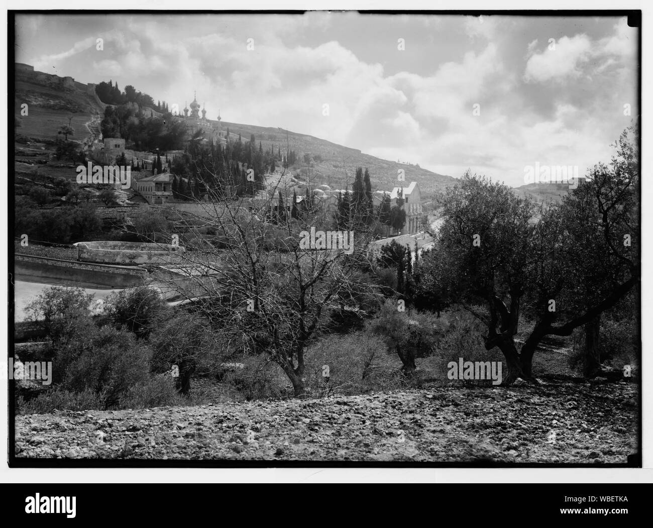 Garden of Gethsemane Abstract/medium: G. Eric and Edith Matson ...