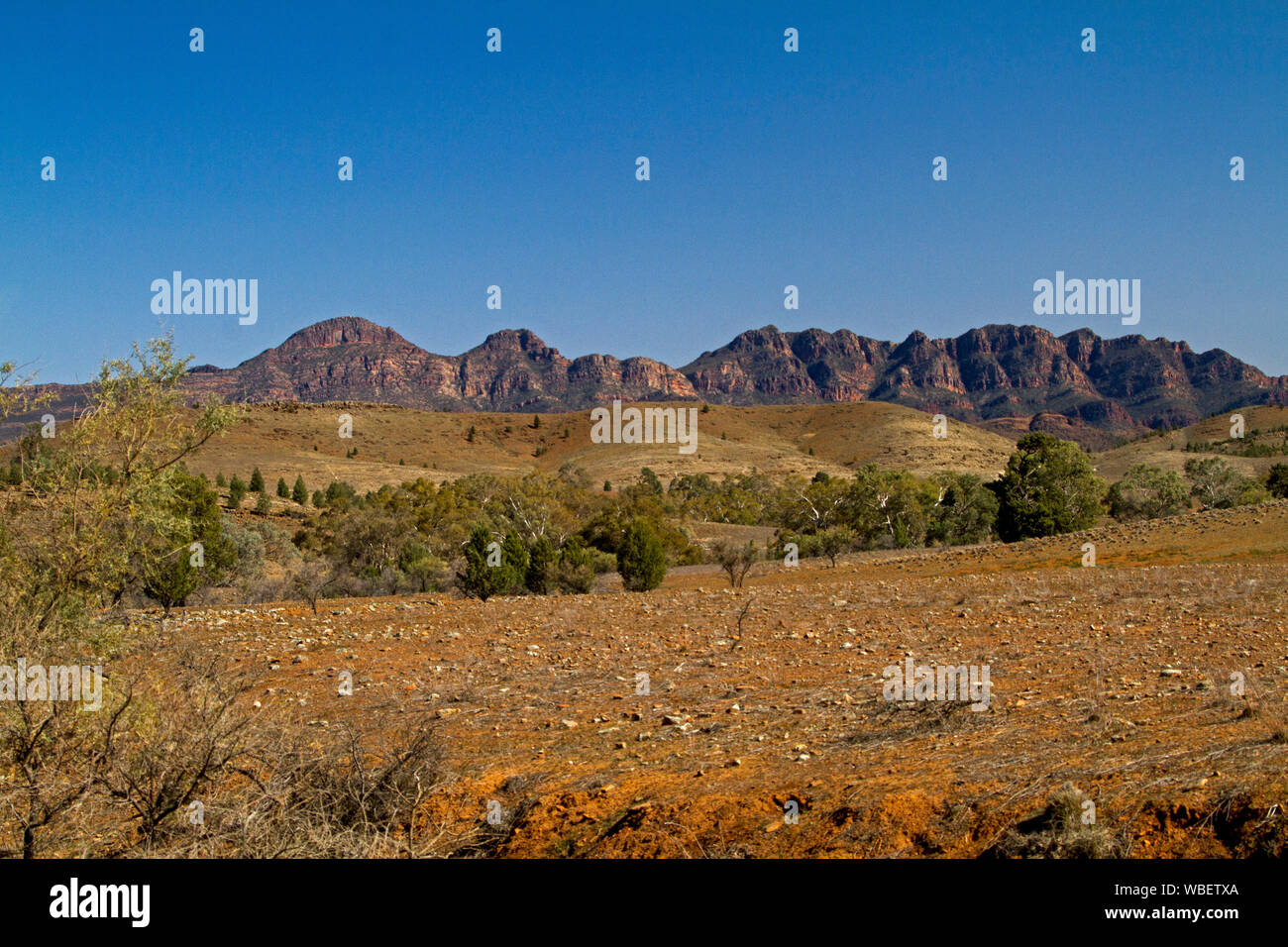 Stunning landscape in Flinders Ranges National Park with rugged red ...