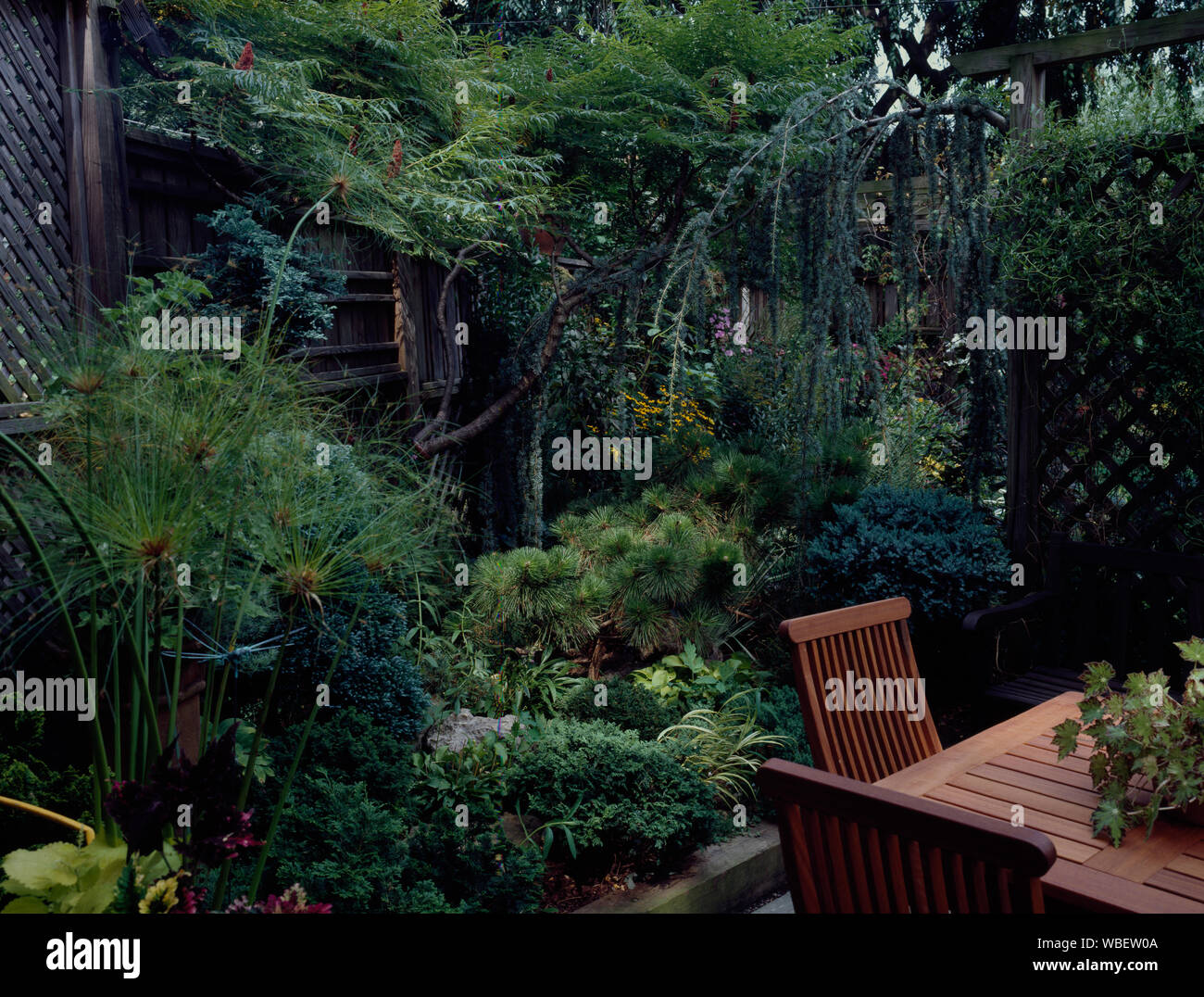 Garden scene in northern Virginia Stock Photo - Alamy