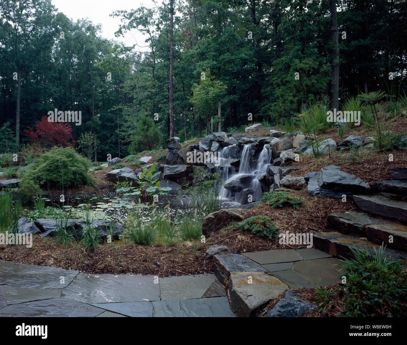 Garden scene in northern Virginia Stock Photo - Alamy