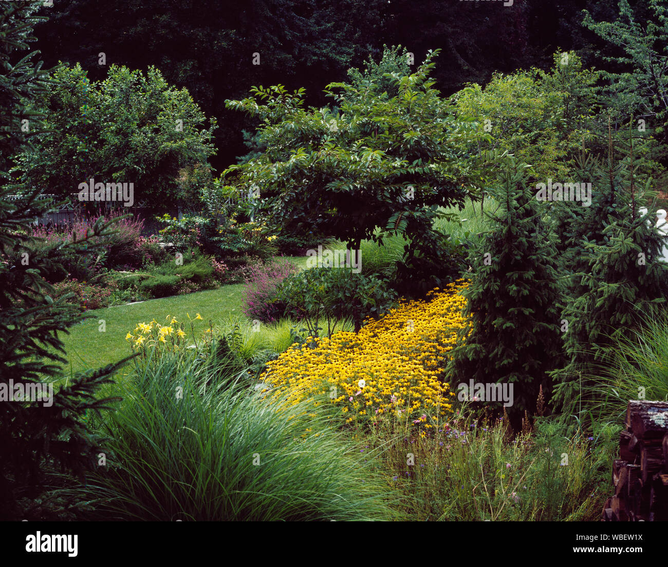 Garden scene in northern Virginia Stock Photo - Alamy
