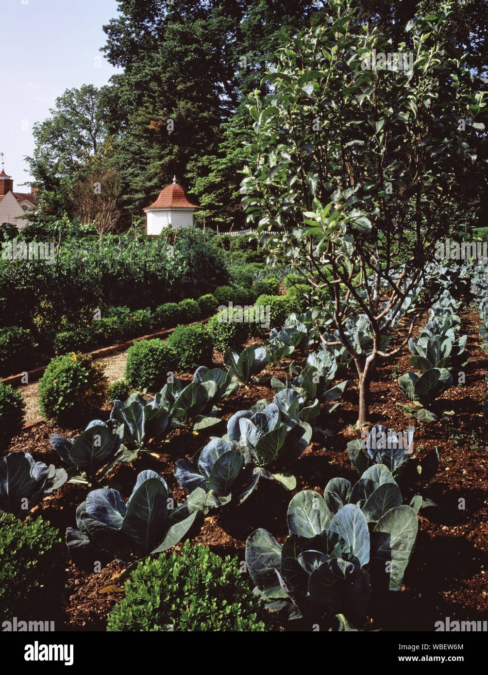 Virginia plantation history hi-res stock photography and images - Alamy