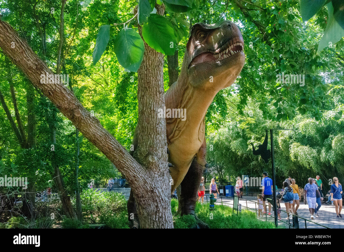 A life-sized model of a Tyrannosaurus Rex dinosaur is one of six ...