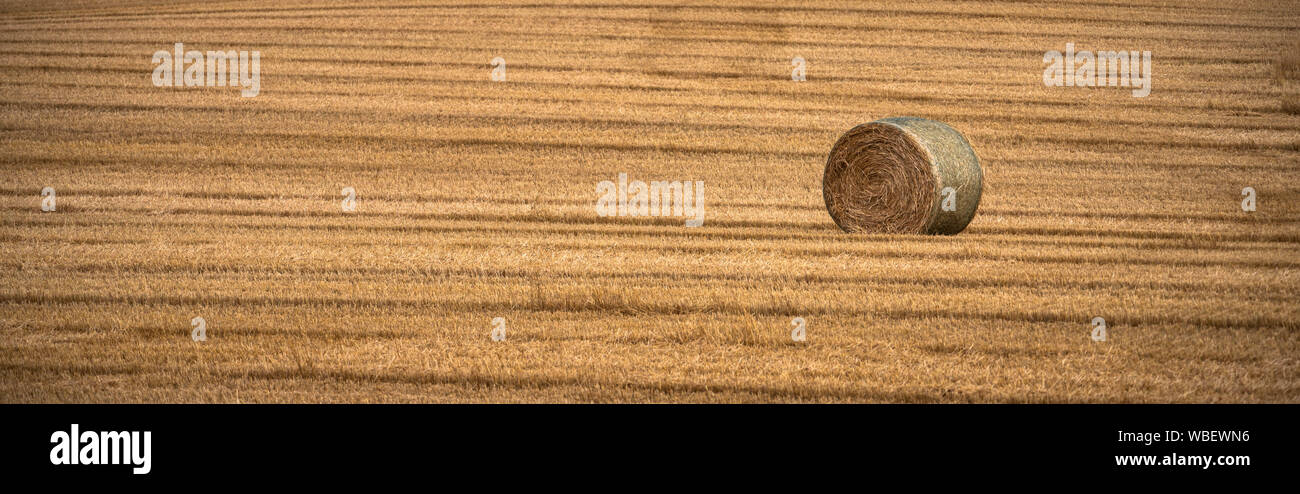 Wide angle banner, single hay bale in golden field Stock Photo - Alamy