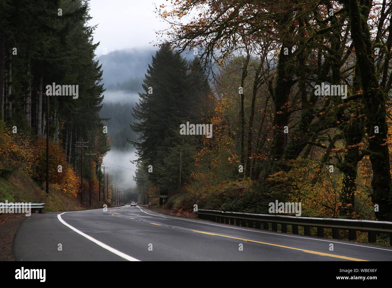 Tillamook County, Oregon, USA. 3rd Nov, 2018. Oregon is incredibly ...