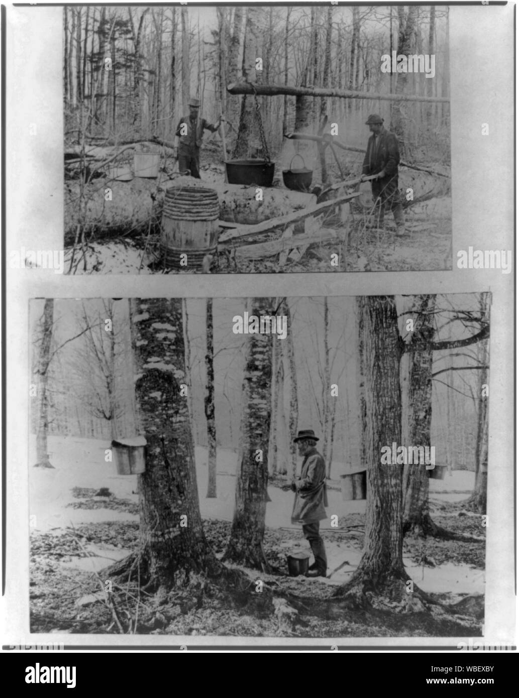 Maple Syrup Processing High Resolution Stock Photography and Images - Alamy