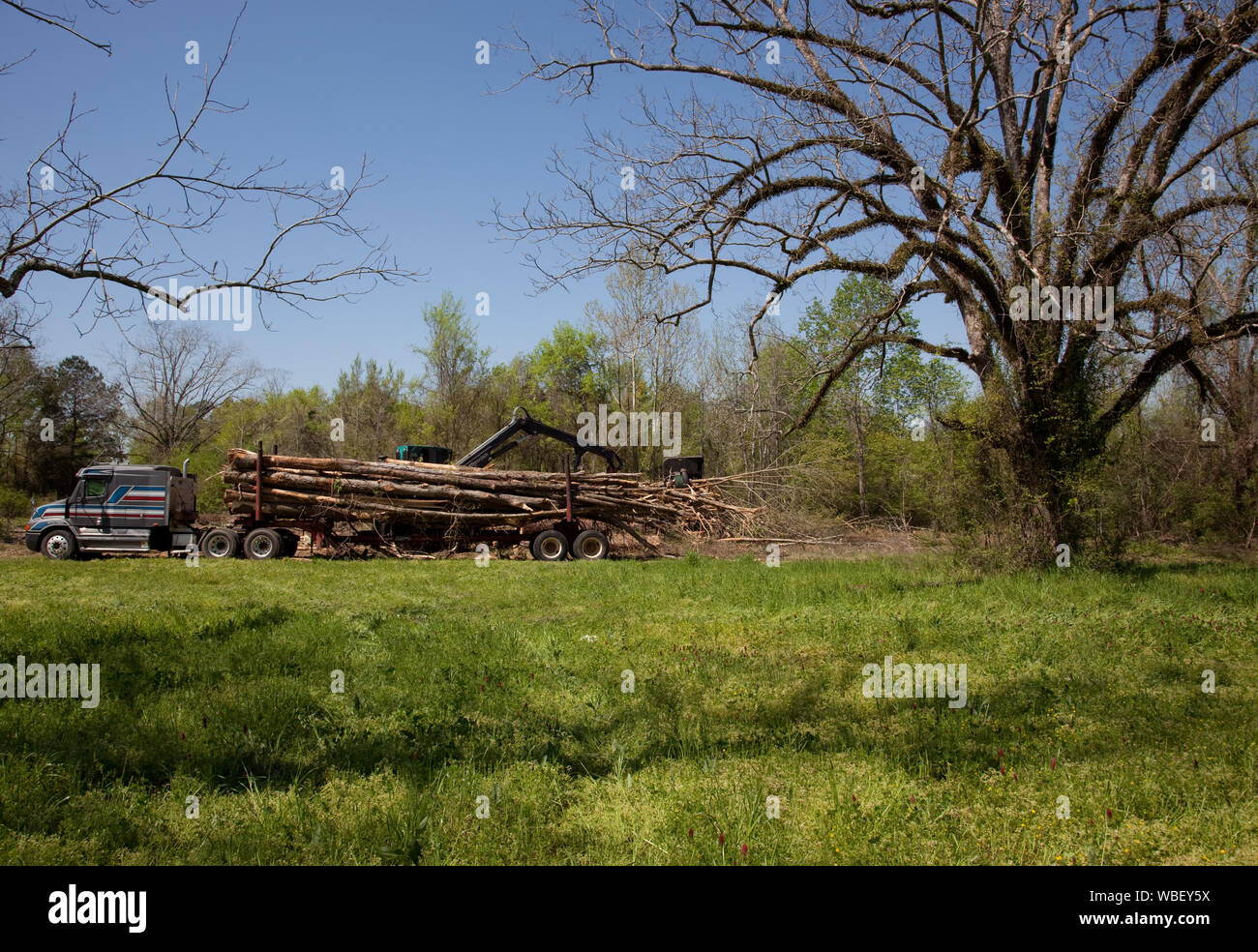 Gee's Bend, Alabama Stock Photo - Alamy