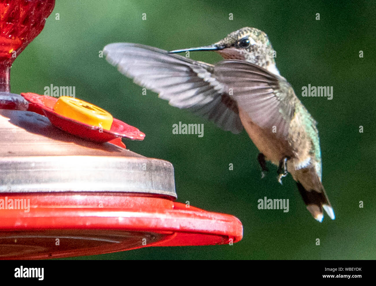 At the source Stock Photo - Alamy