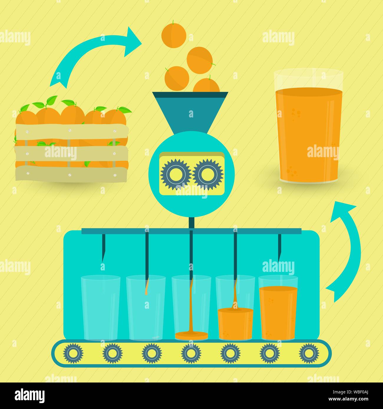 Production of oranges Stock Vector Images - Alamy