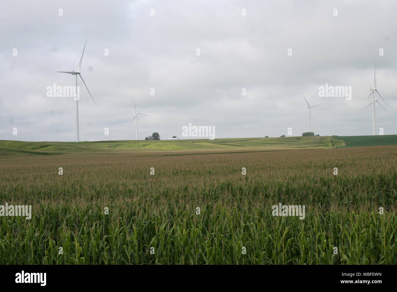Iowa wind turbines hi-res stock photography and images - Alamy