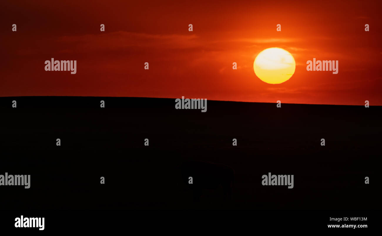 Smooth field hi-res stock photography and images - Alamy