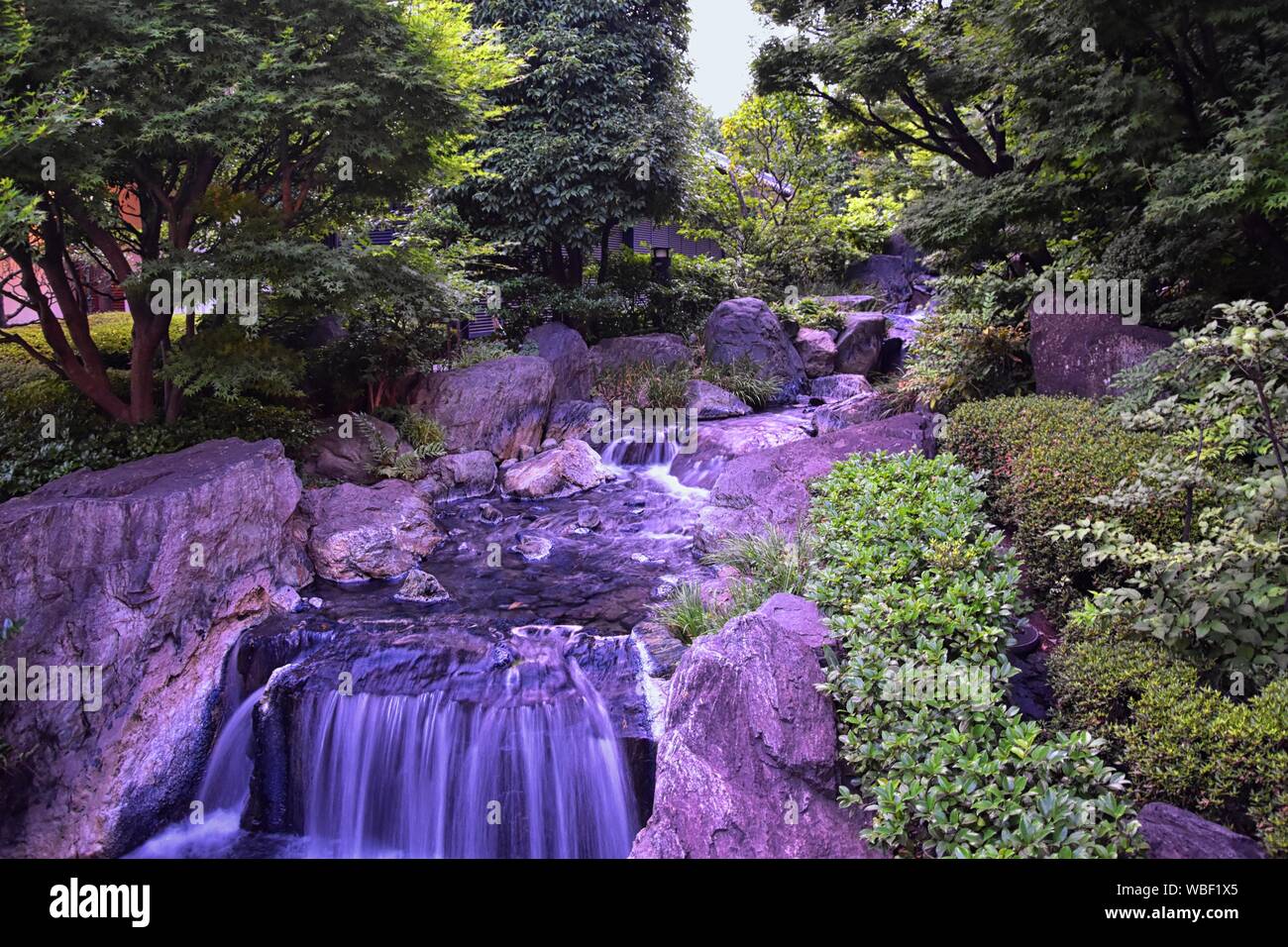 Traditional Japanese gardens in public parks in Tokyo, Japan. Views of ...