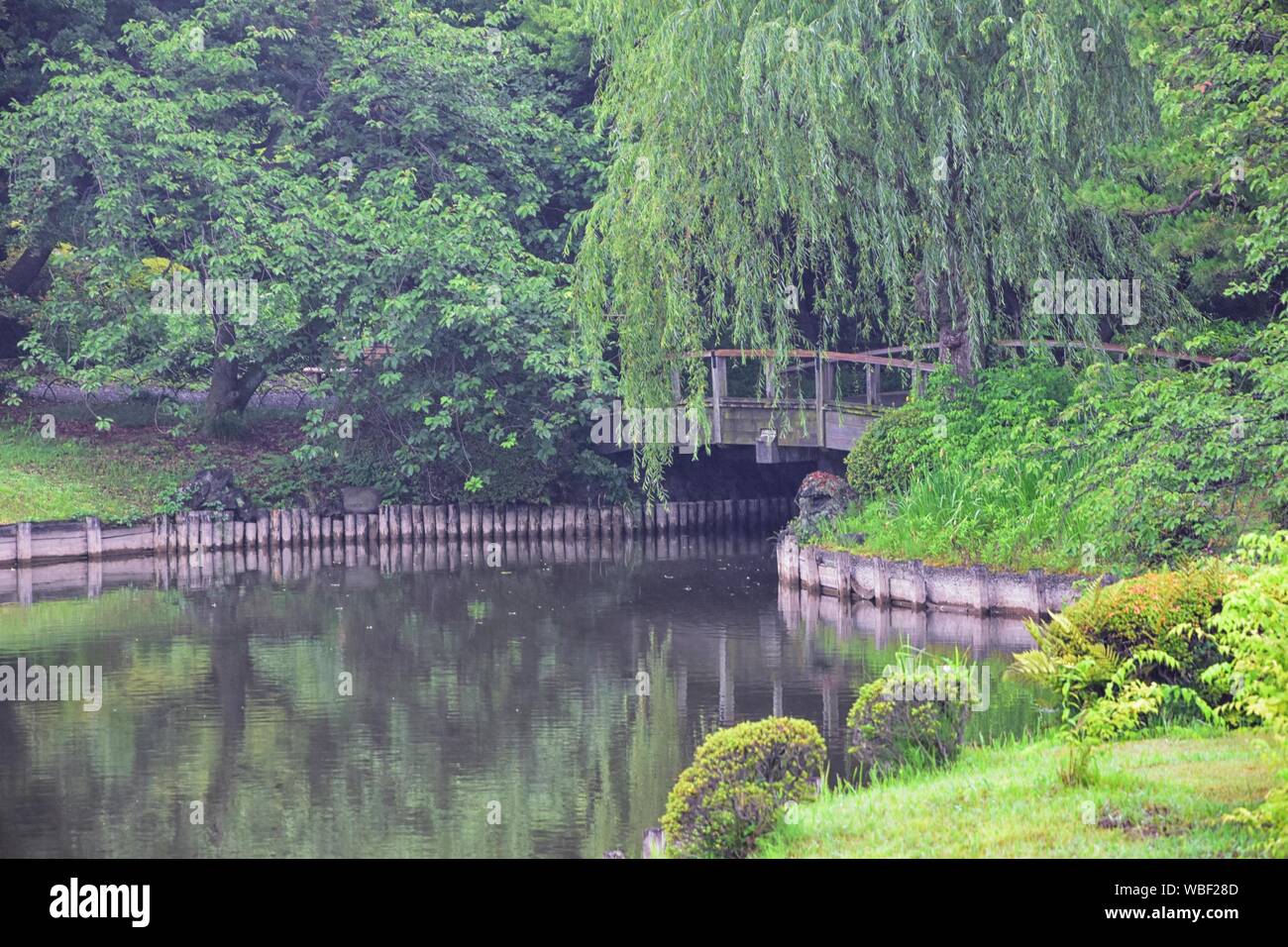 Traditional Japanese gardens in public parks in Tokyo, Japan. Views of ...