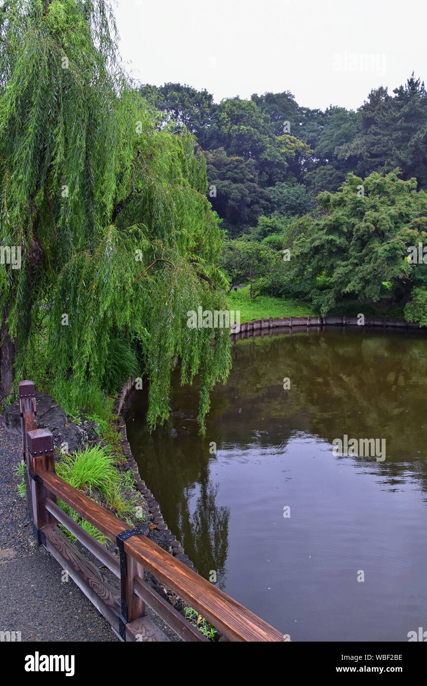 Traditional Japanese gardens in public parks in Tokyo, Japan. Views of ...