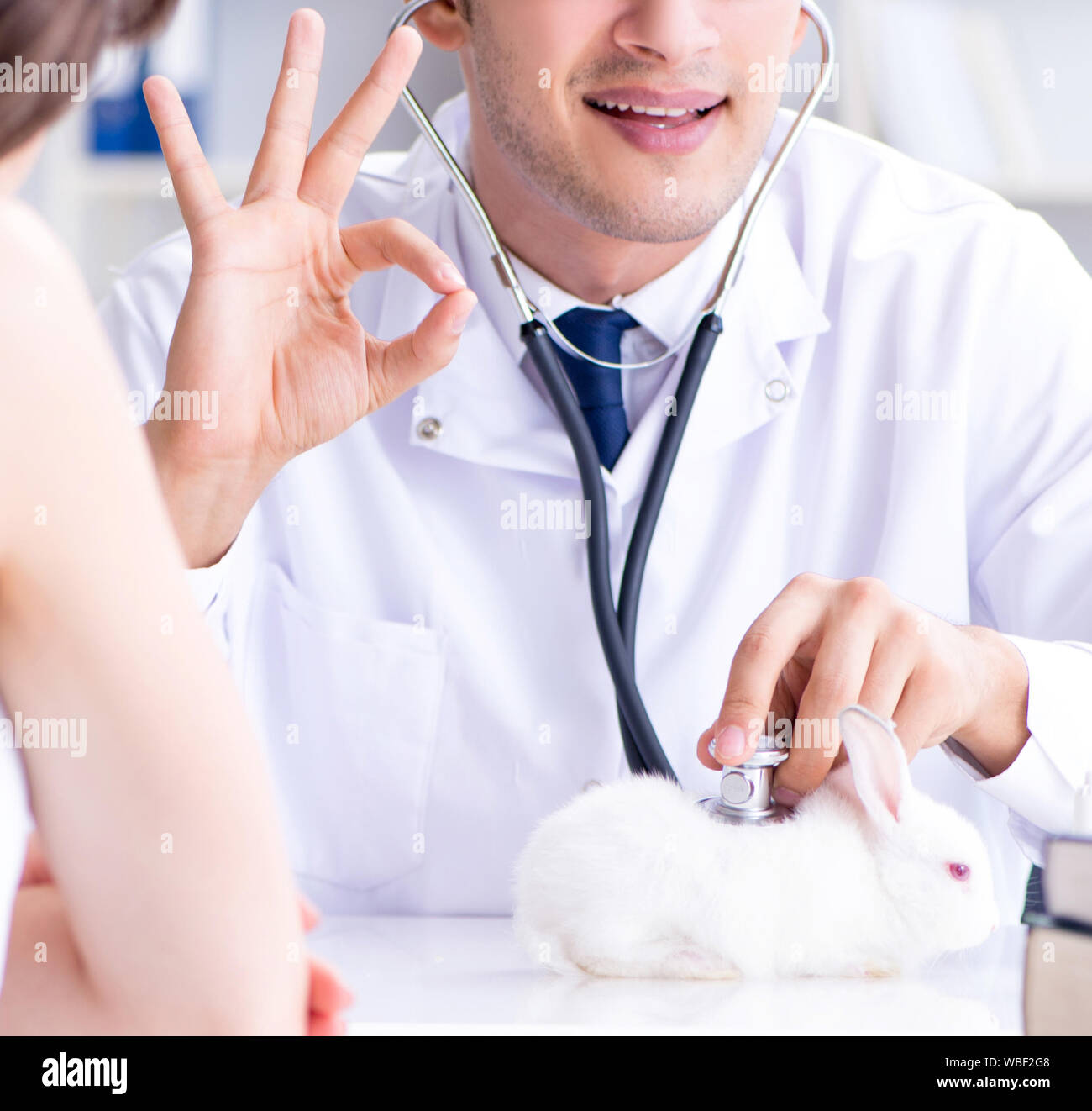 The woman with pet rabbit visiting vet doctor Stock Photo - Alamy