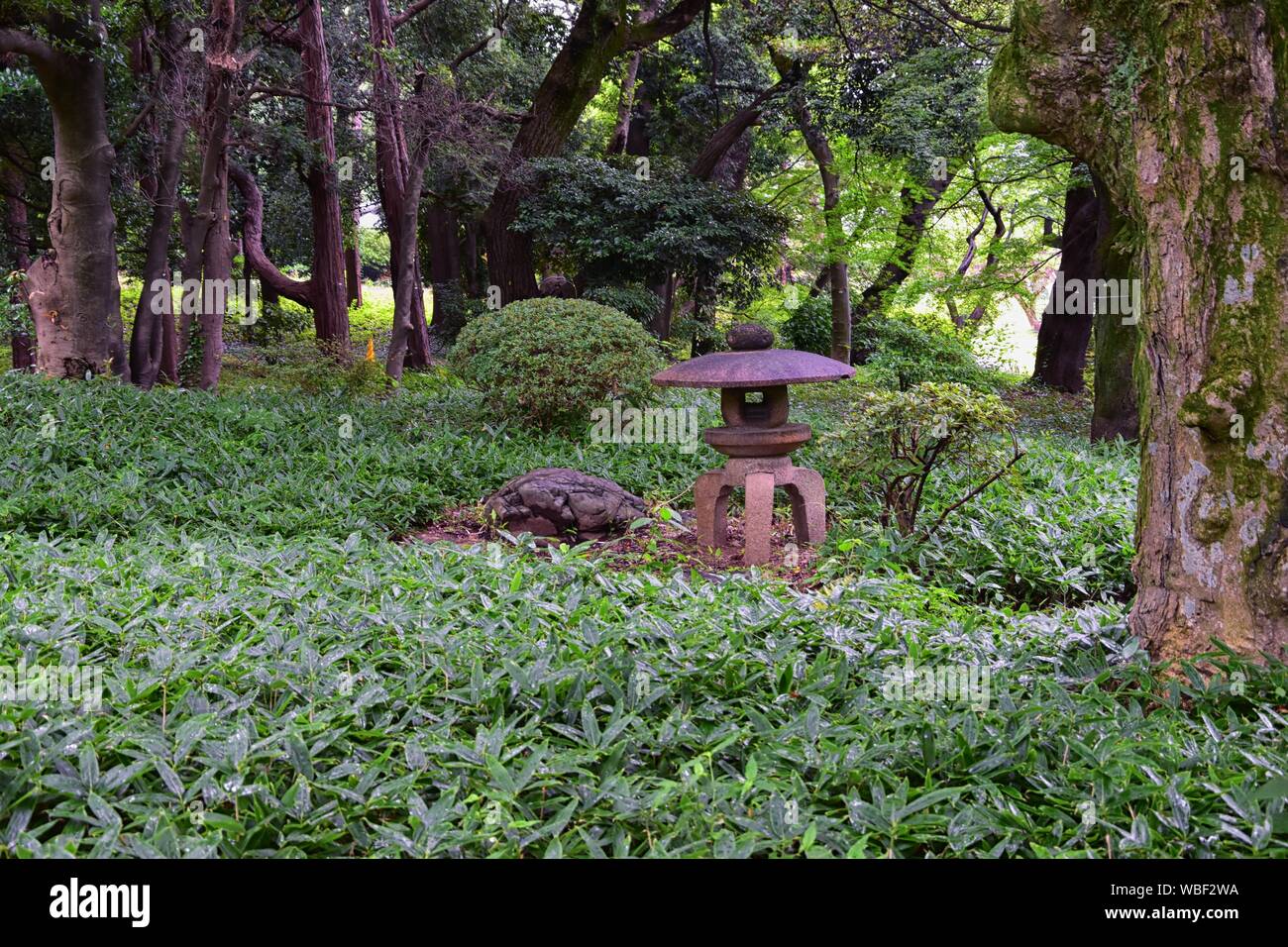 Traditional Japanese gardens in public parks in Tokyo, Japan. Views of ...