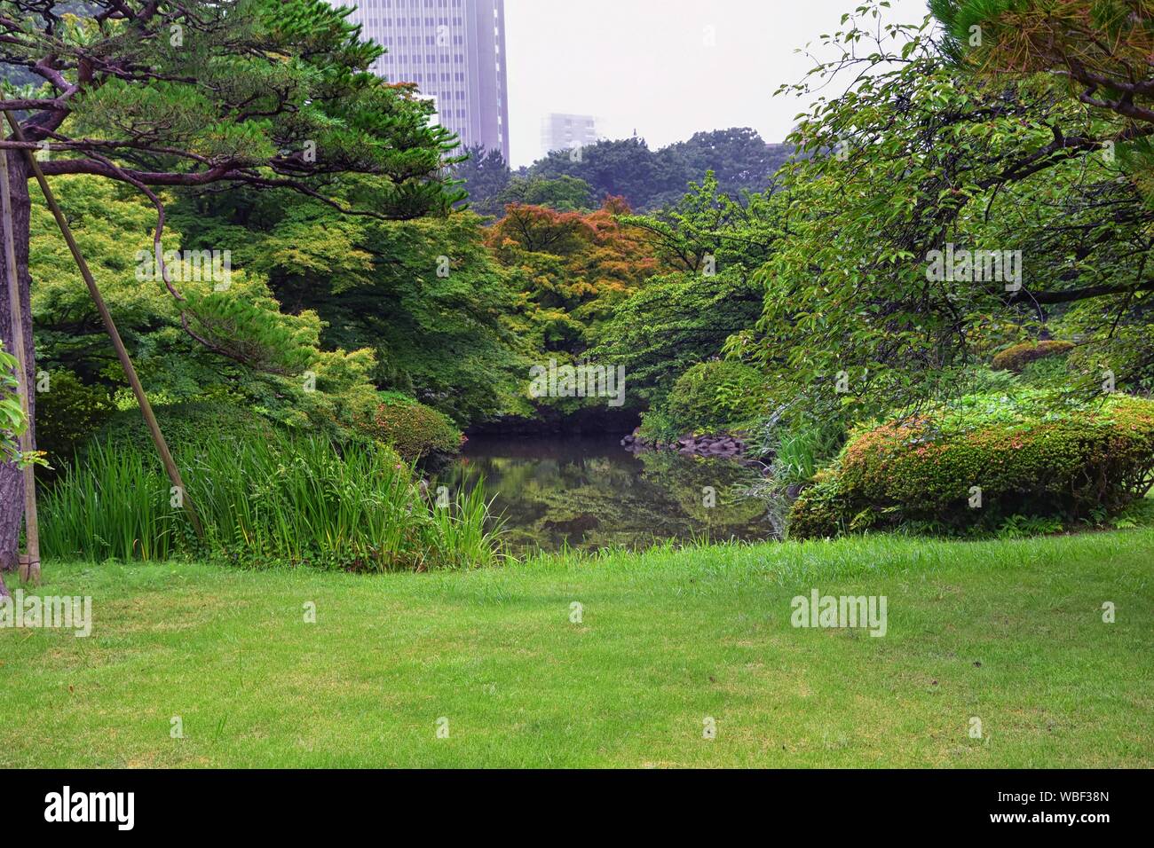 Traditional Japanese gardens in public parks in Tokyo, Japan. Views of ...