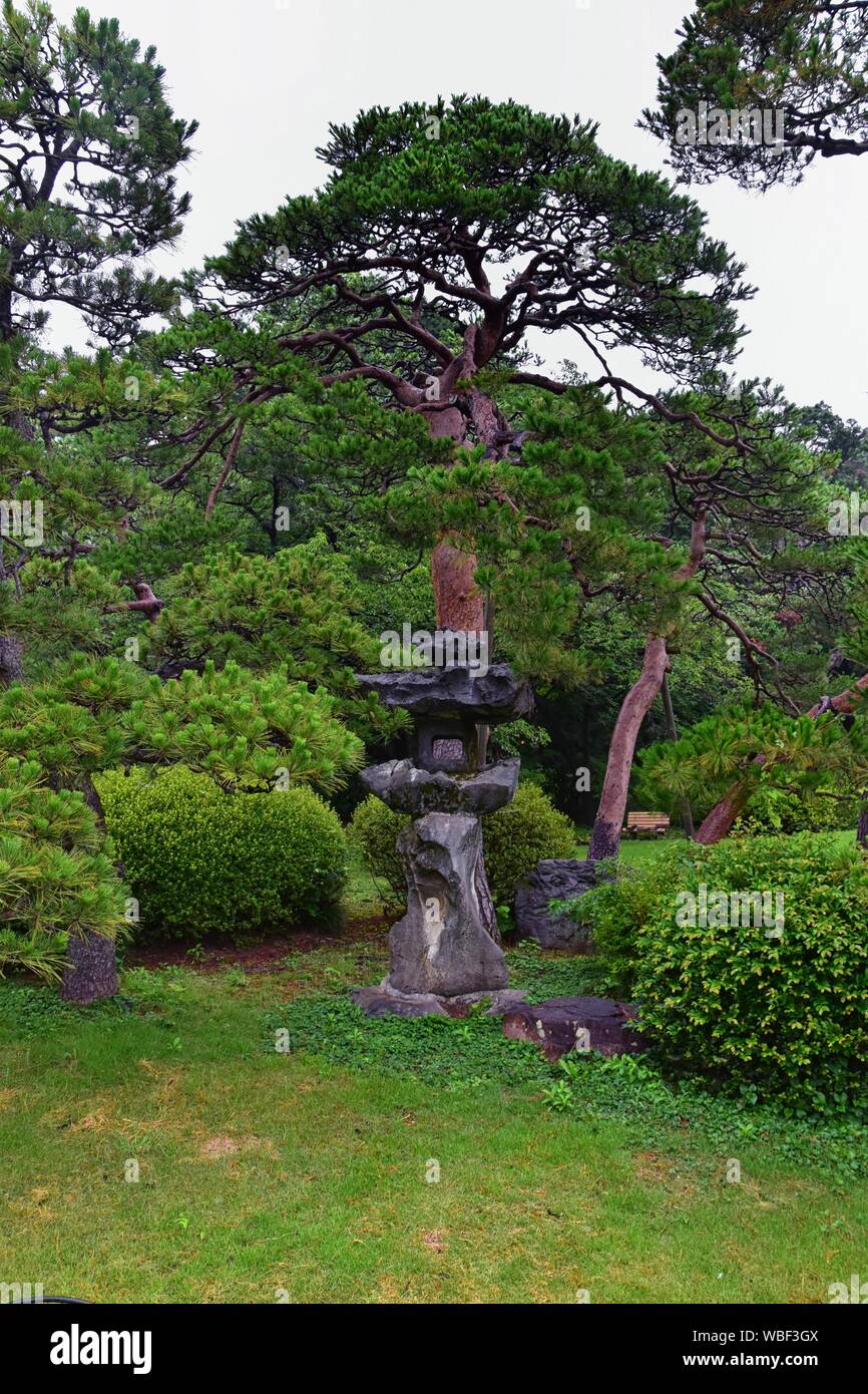 Traditional Japanese gardens in public parks in Tokyo, Japan. Views of ...