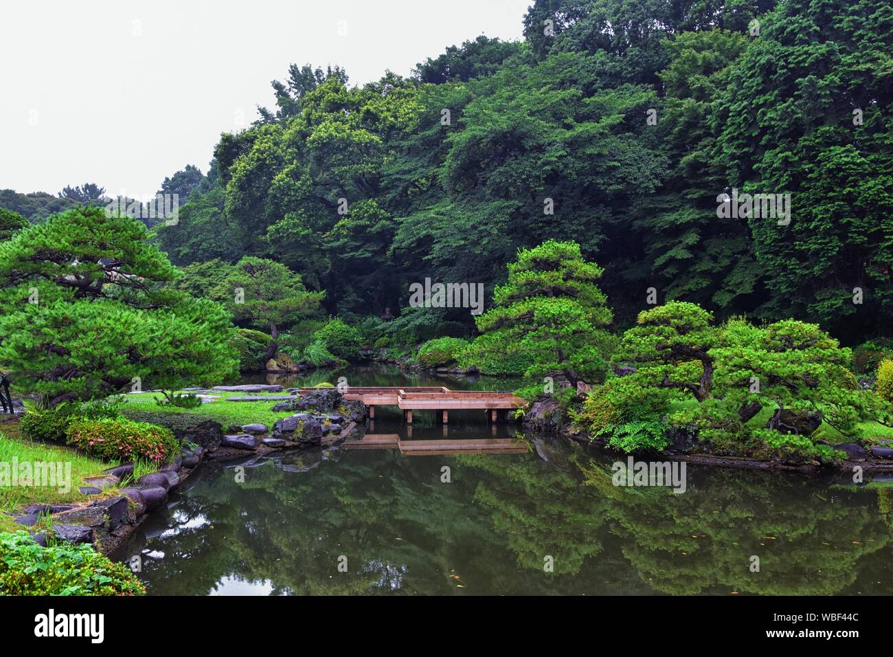 Traditional Japanese gardens in public parks in Tokyo, Japan. Views of ...