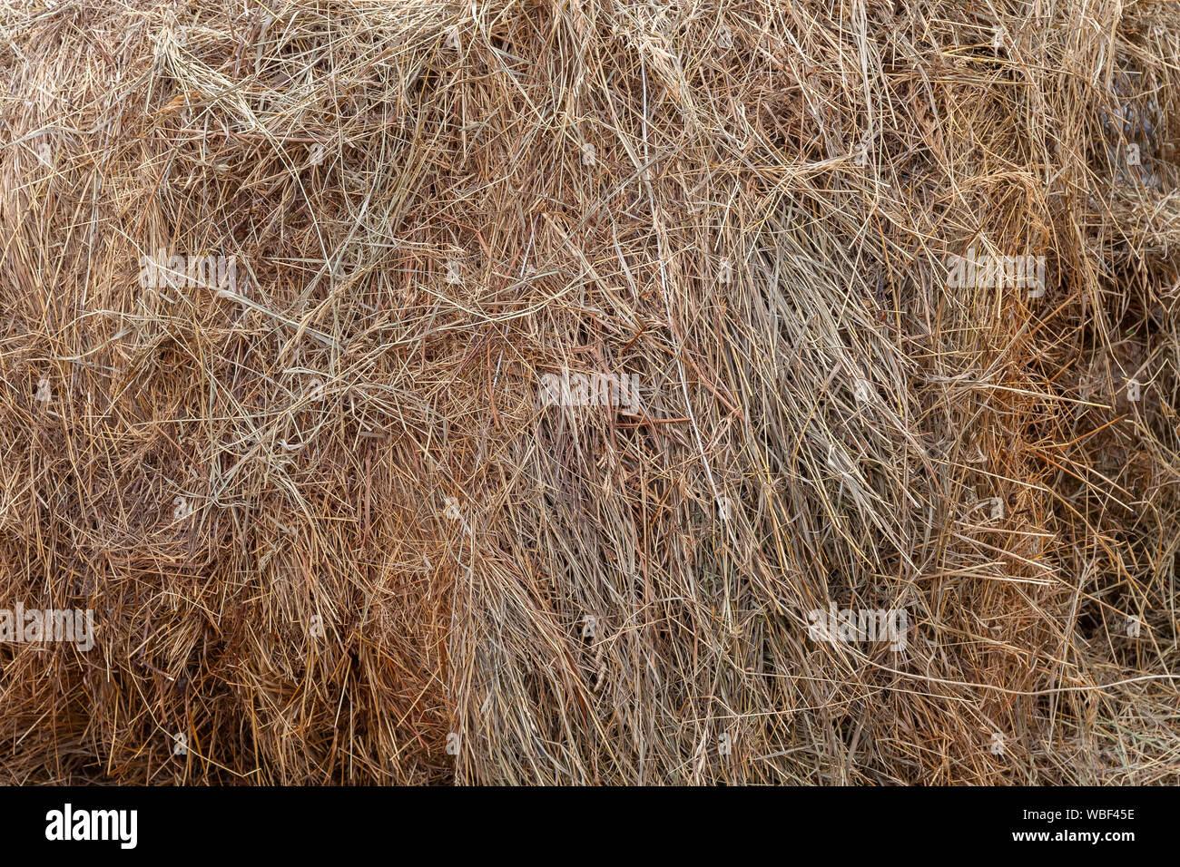 Background and texture of yellow woven hay of dried grass for ...