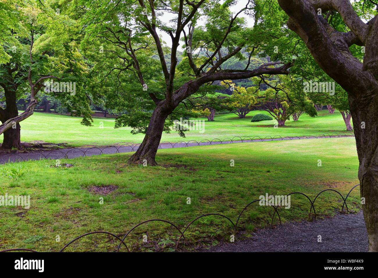 Traditional Japanese gardens in public parks in Tokyo, Japan. Views of ...